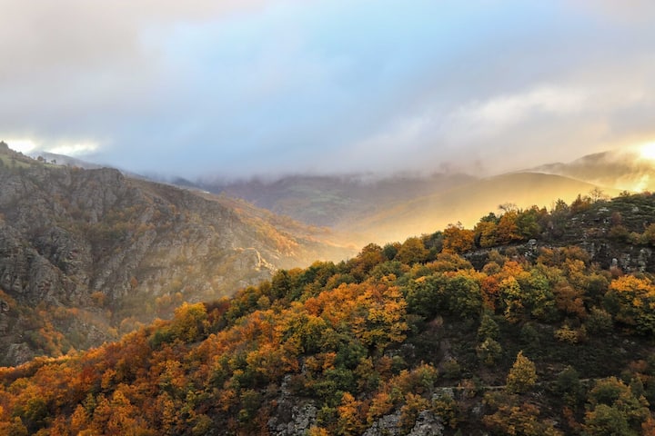 Gîte Avec Piscine Au Cœur Des Cévennes - Saint-Jean-du-Gard