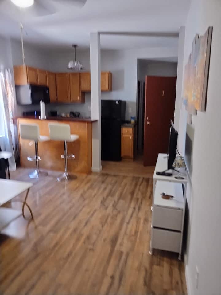 2 Bed Room Downtown Carbondale - Carbondale, IL