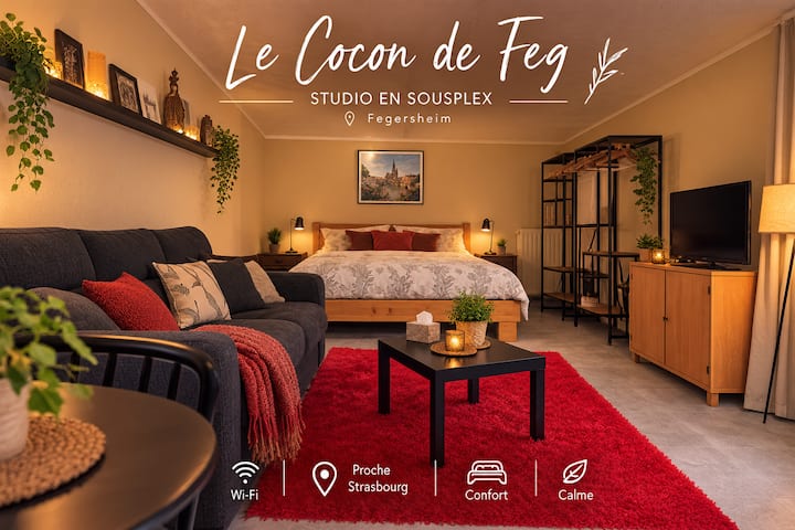 Le Cocon De Feg - Studio En Sousplex - Illkirch-Graffenstaden