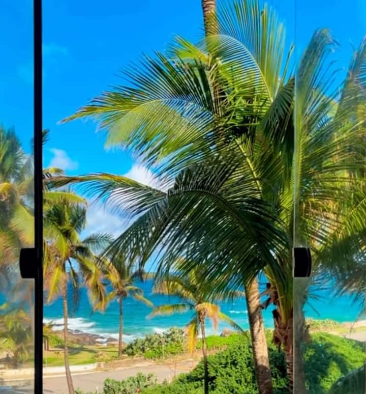 Apto/fonte Boi - Rio Vermelho - Vista Mar - Rio Vermelho