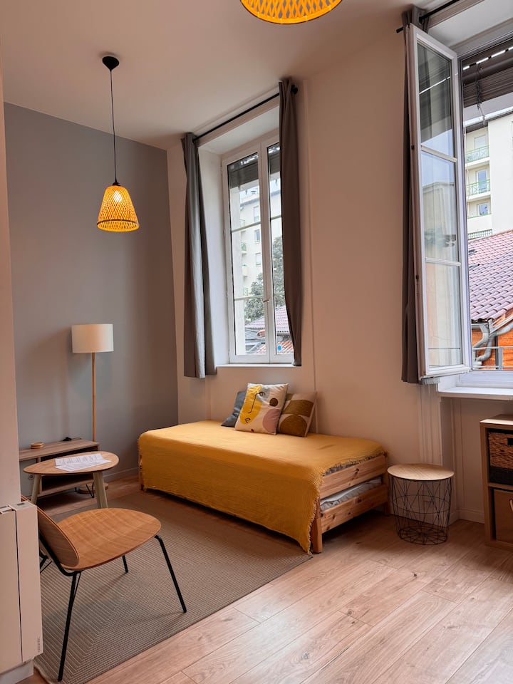Appartement Dans Le Quartier Saxe Gambetta - Parc de Gerland - Lyon