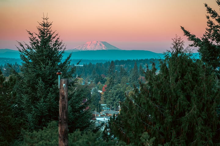 Stare Out At The Treetops On An Extinct Volcano Mountainside - 포틀랜드