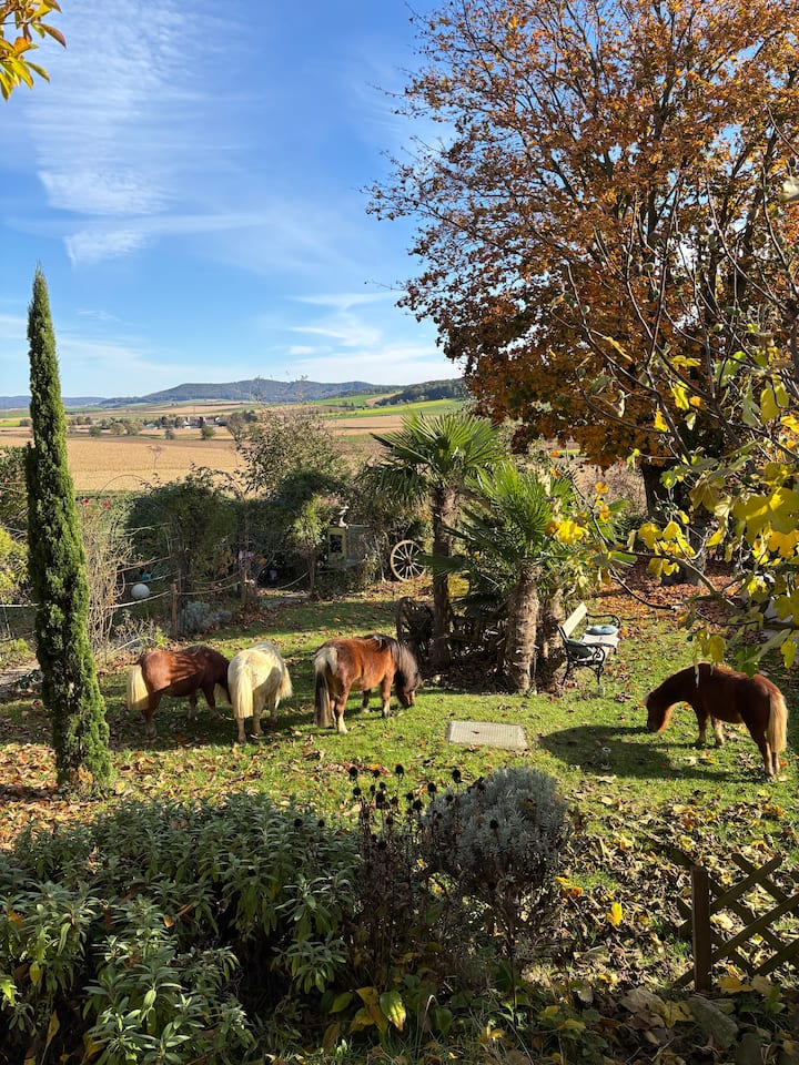 Freesoul - Inspirierendes Ausspannen Mit Weitblick - Niederösterreich