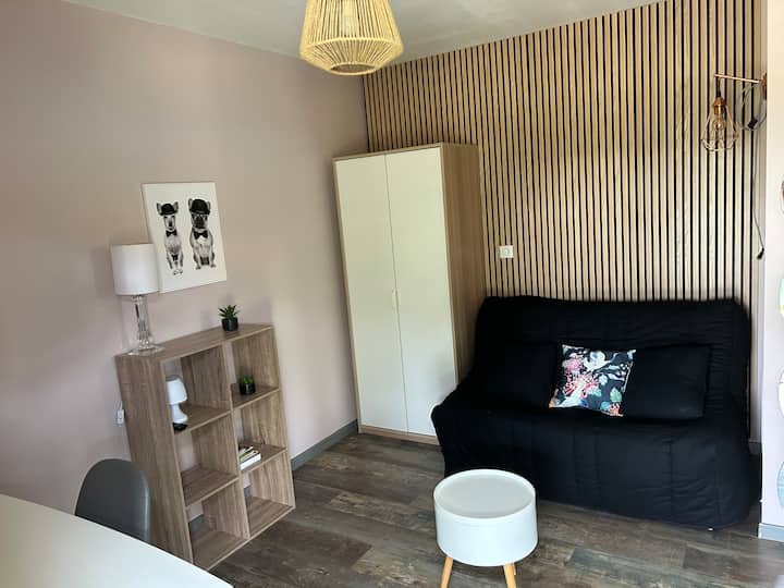 Albi Studio Coquet Terrasse Ombragée Et Parking - Albi