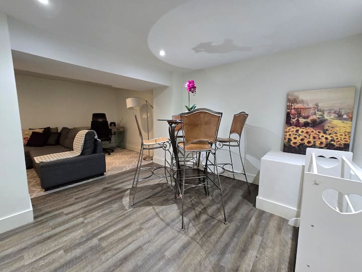 Neu Renovierte, Helle 1-zimmer-wohnung Im Keller, Schlafplätze Für 4. Küche, Wlan, Netflix - Toronto