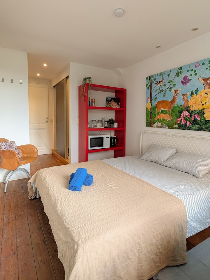 Studio Privé - La Cambre - Flagey - Louise - Ulb - Ixelles