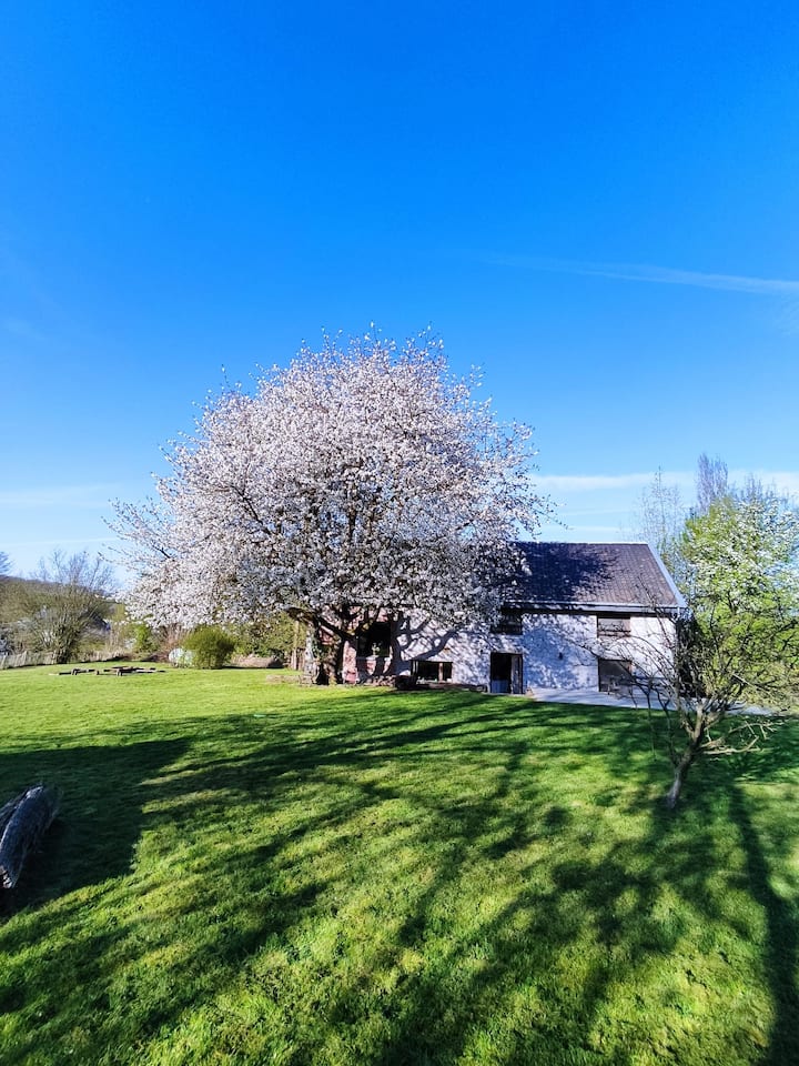 Gerenoveerde Hoeve Met Mooi Uitzicht - Durbuy