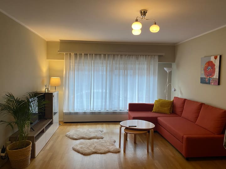 Cosy Flat 60 M2 /10mins To Brussels Airport - Steenokkerzeel