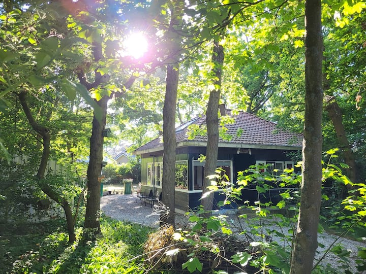 Eenvoudig Houten Boshuisje Tegen Het Duin. - Bergen