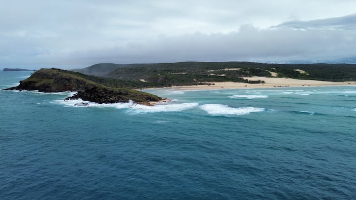 Orchid Oasis-orchid Beach, K’gari (Fraser Island) - Fraser Island