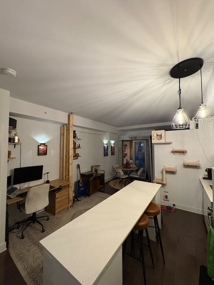 Cozy Condo In The Heart Of Montreal - Montreal