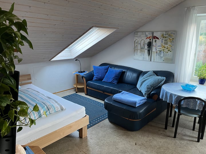 Helles, Gemütliches Appartement In Waldrandlage. - Neckarsulm