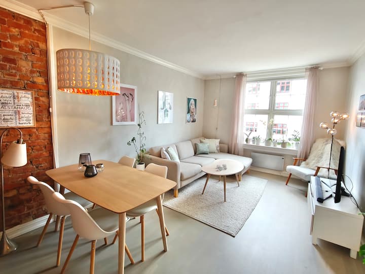 Koselig Leilighet På Rosenhoff, Grünerløkka - Oslo
