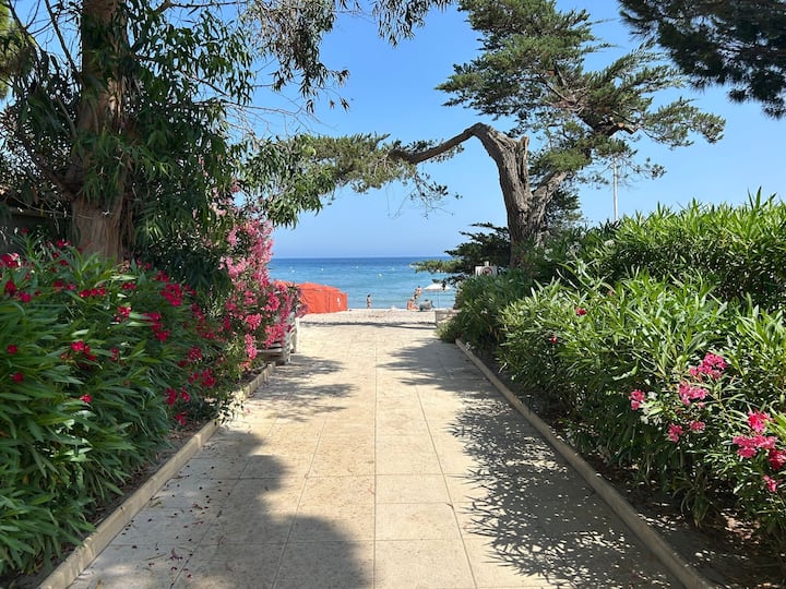 Appartement Plage Pramousquier Le Lavandou - Bormes-les-Mimosas