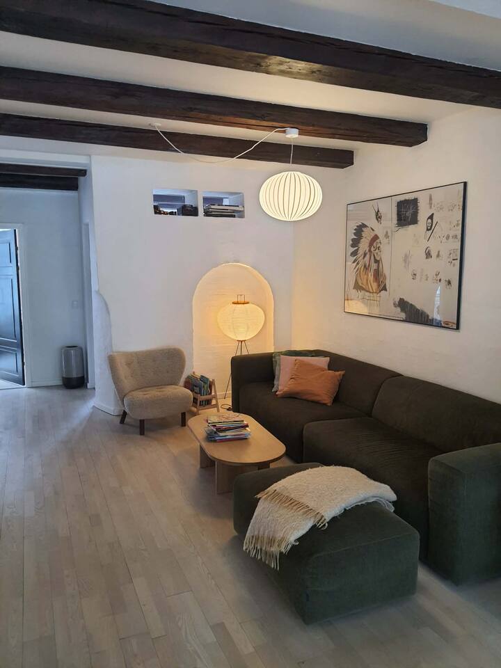 Charismatic & Cosy Apartment With Private Terrace - Aarhus