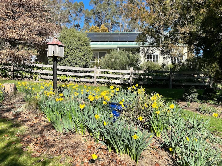 Birdsnest, Garden Cottage Nestled In Tamar Valley - 론서스턴