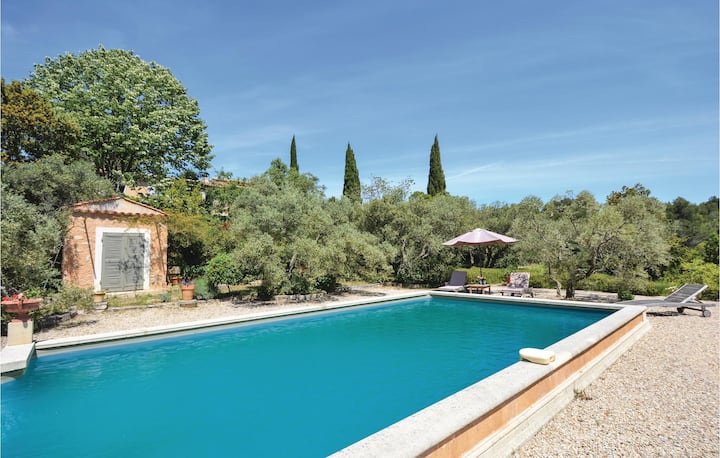L'olivier - Les Baux-de-Provence