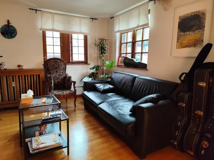 Petite France 1 Rue Des Moulins - 2 Pieces - Strasbourg