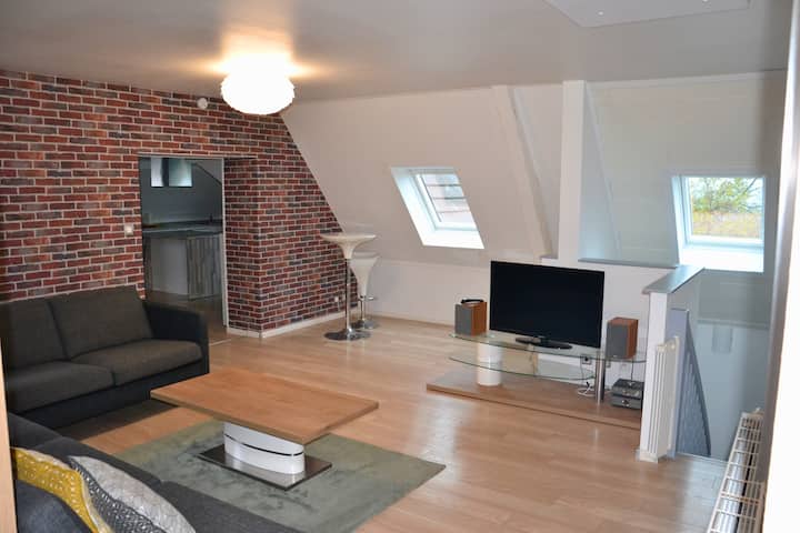 Maison Contemporaine 10 Pers Avec Sauna Et Spa - Haut-Rhin