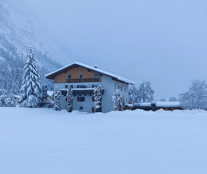 Ferienwohnung Lechtaler Alpen Eg1 - Steeg