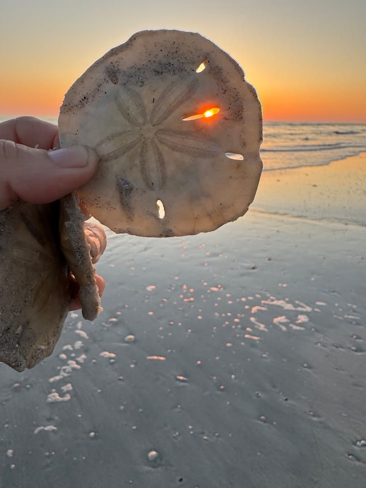 2 Bed/1 Bath Hummingbird Beach Cottage (4 Beds) - Madeira Beach, FL