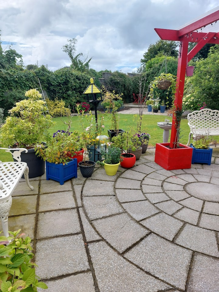 Cozy Twin Room - Limerick City