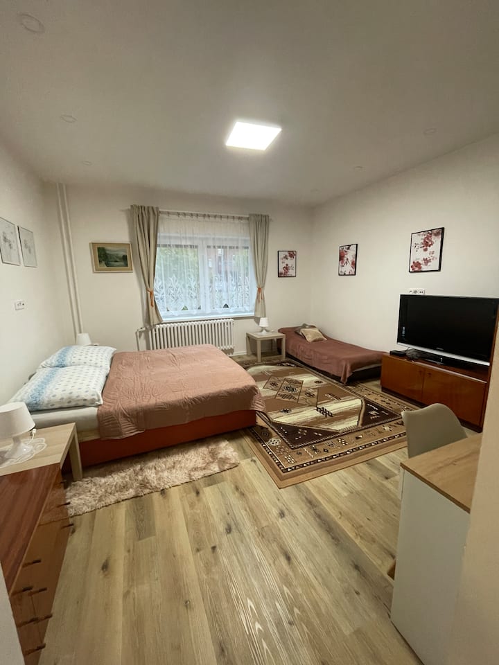 Large Flat In The Family House - 프라하