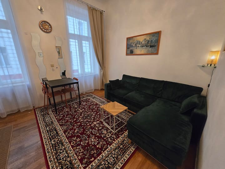 Charming Apartment Near Metro & Schönbrunn Palace - Vienne