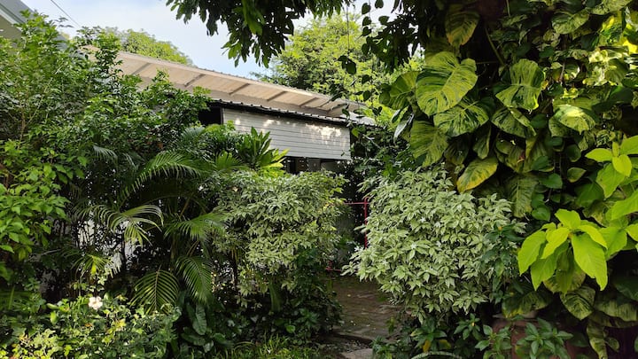 A Sense Of Local Living In Family Compound - 치앙마이