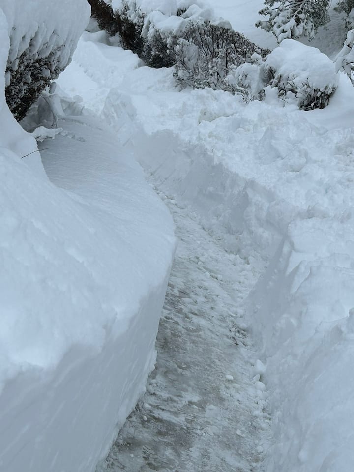 Bel Appart Confortable Aux Pieds Des Pistes 4 Pers - Les Orres