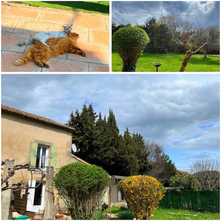 Partie D'un Mas Provençal Typique. - Saint-Rémy-de-Provence