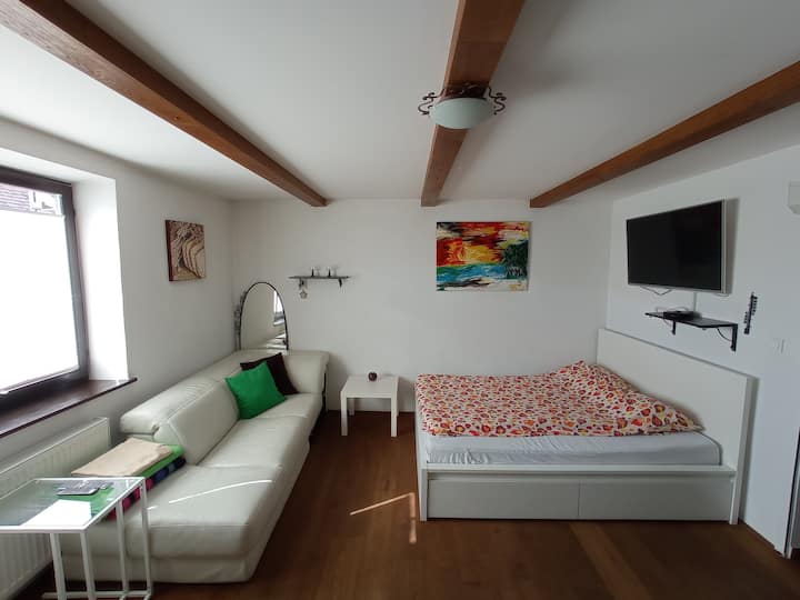 Private House Near Terme ČAtež - Slovenia