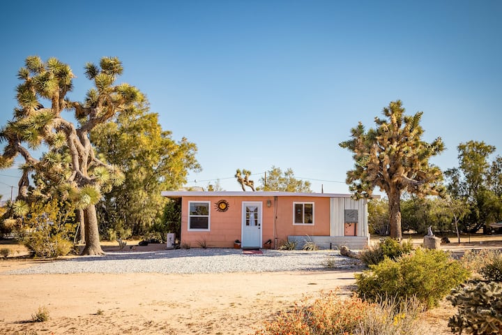 Avalon And The Stargazing Boat - California