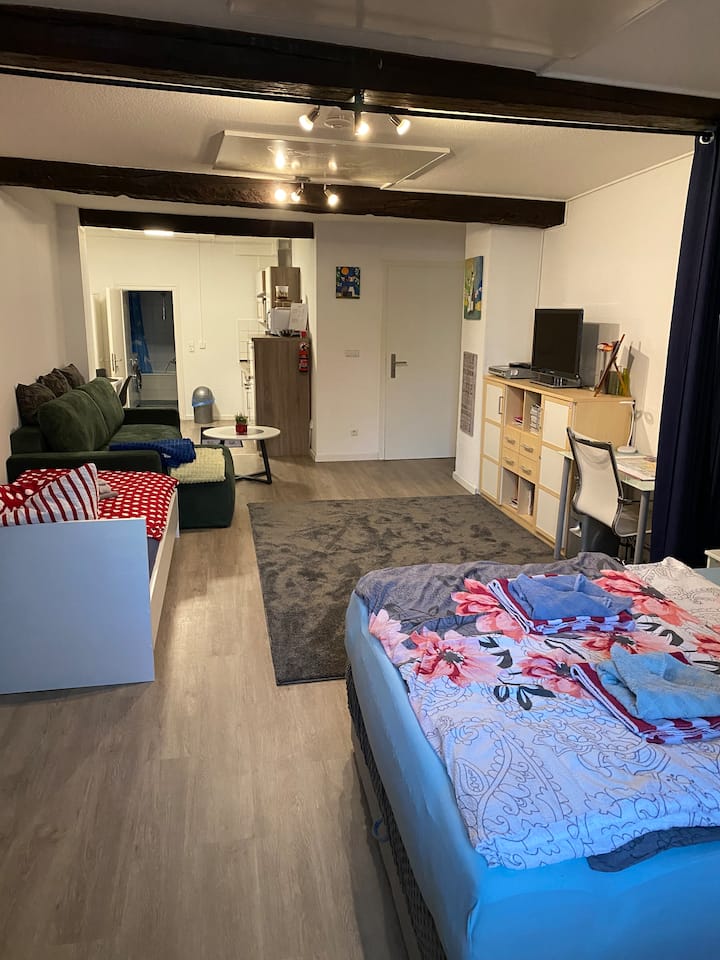 Altstadt Wohnung Regensburg - Regensburg