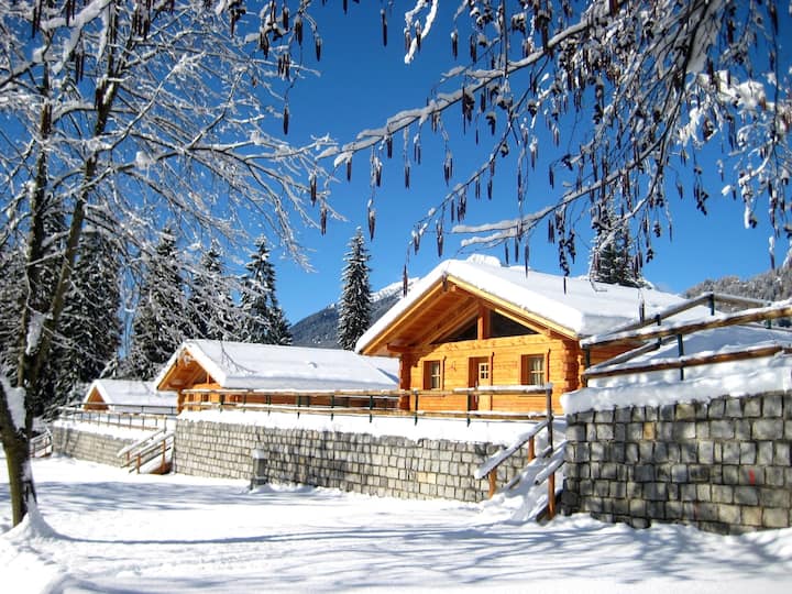 Chalet Nido - Pinzolo