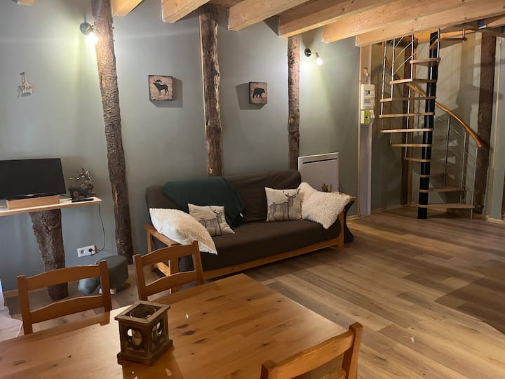 Gîte « Le Balcon Du Buet » - Mont-Saxonnex
