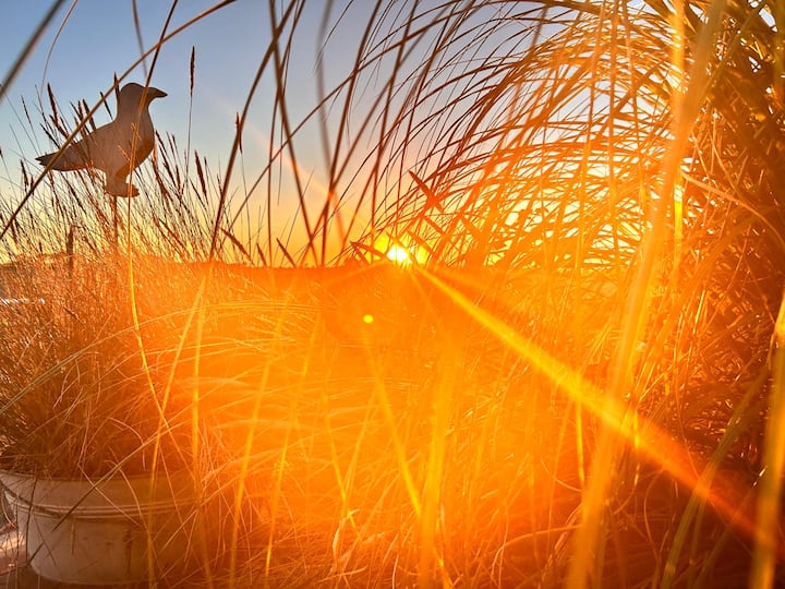 Huus Ehni Mit Sauna - Nordstrand