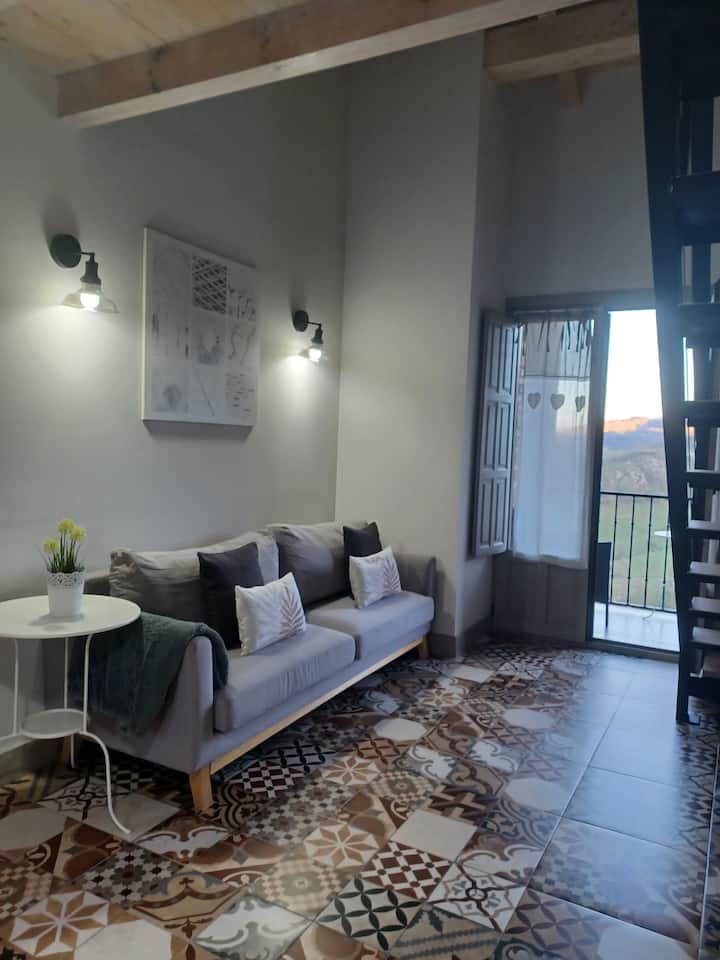 Apartamentos El Llanin(duplex  05) - Cangas de Onís