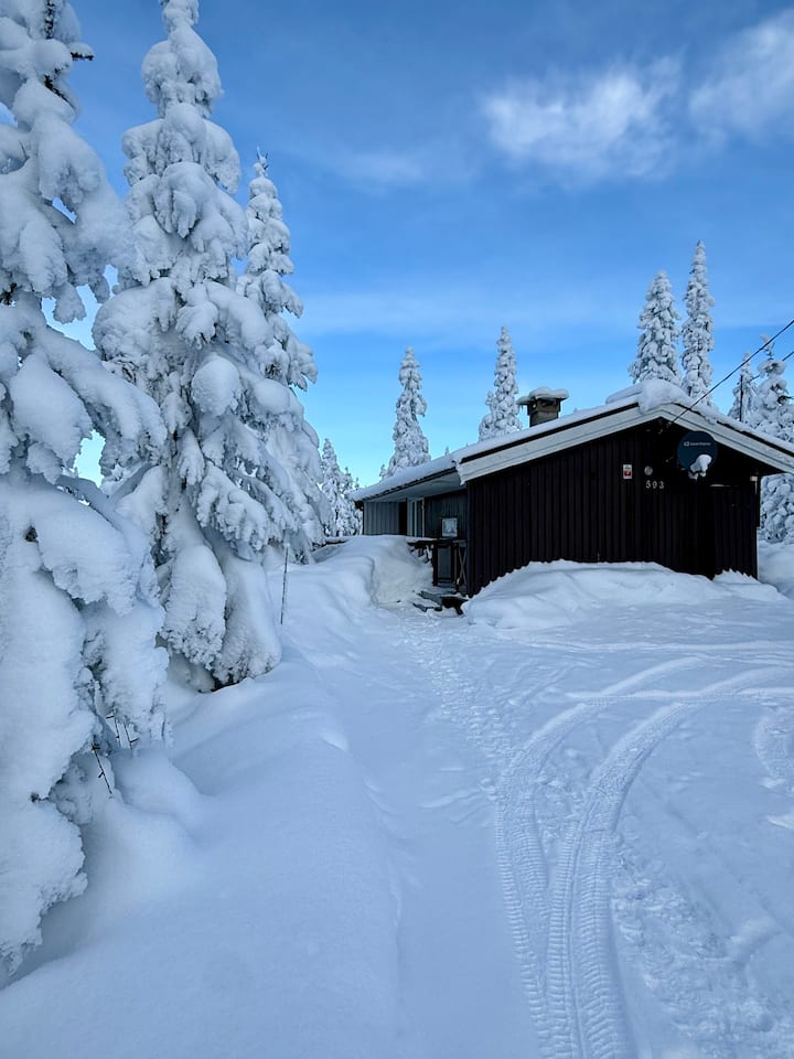 Small Cabin In Norways Best Cross Country Area! - Norway