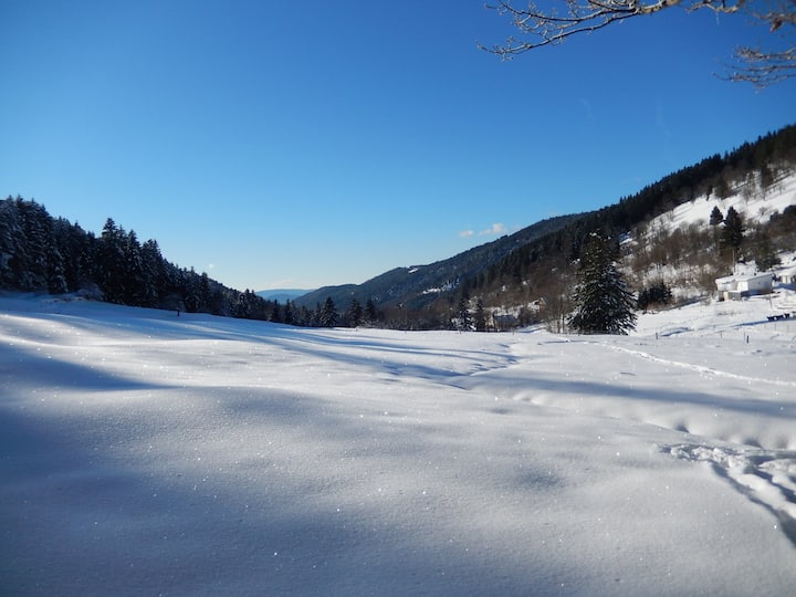 Gîte à La Ferme à 2 Pas De Gerardmer ÂNes Et Vache - Gérardmer