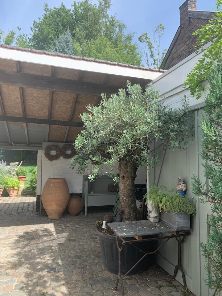 Tranquility Galore - Maastricht