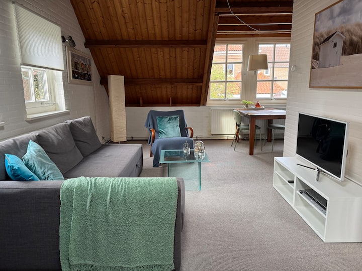 Ruim Knus Appartement In Sfeervol Dorp Groede. - Walcheren