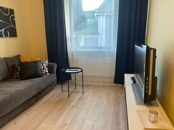 Seaport Apartment - Tallin