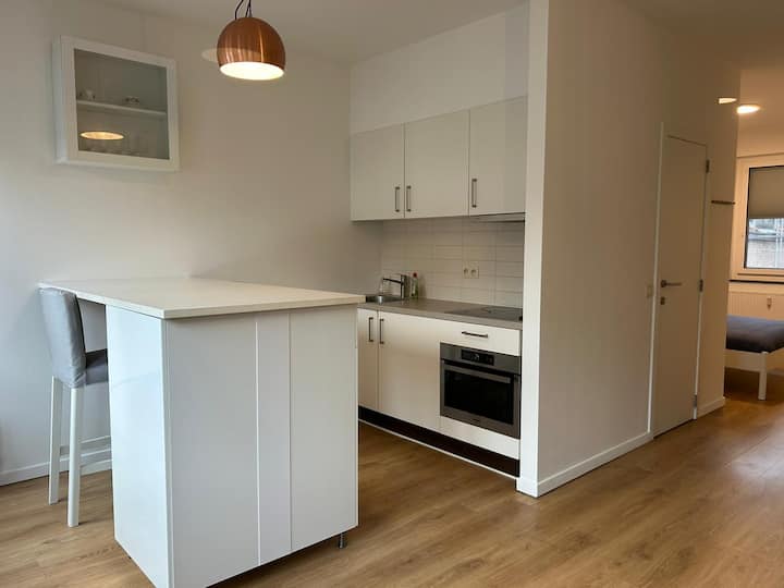Beautiful Studio Close To Central Station - Anvers