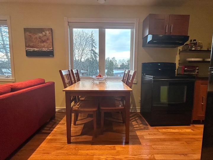 1 Bdrm Executive Suite Free Parking & Wi-fi. - Ottawa