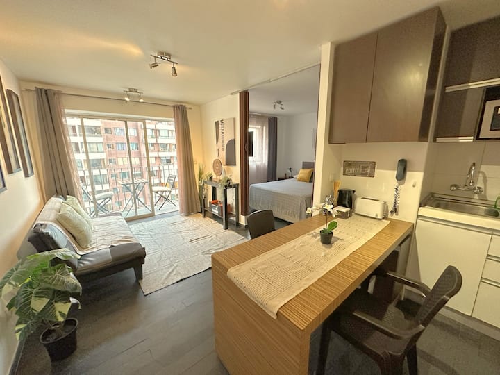 Moderno Departamento En Santiago Centro - Santiago