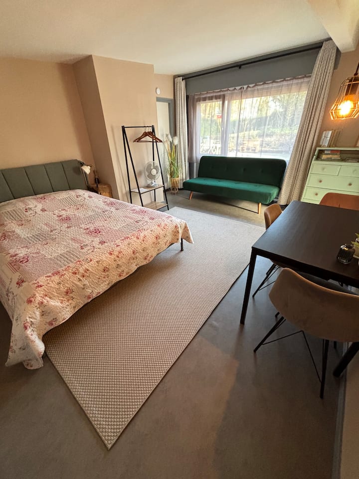 Appartment/guest House Close To City (Airco) - Arnhem