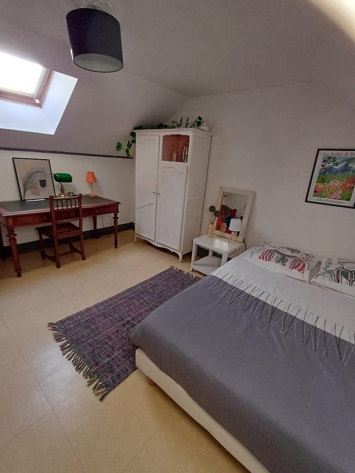 Chambre Dans Maison Proche Gare, Centre Ville - Angers