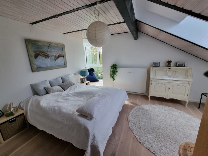 Spacious Rooftop Apartment With Balcony - Karlsruhe