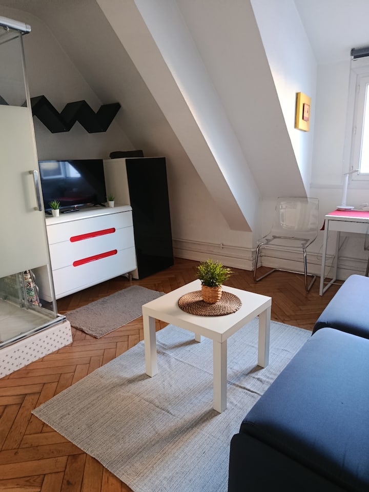 Hyper Centre - Vue Cathédrale Studio - Strasbourg